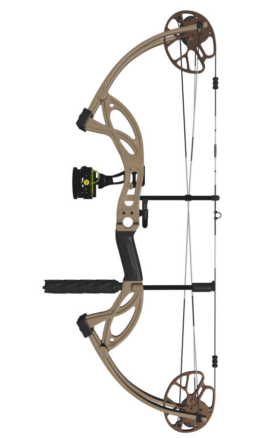 What are the 3 most common bows for hunting?