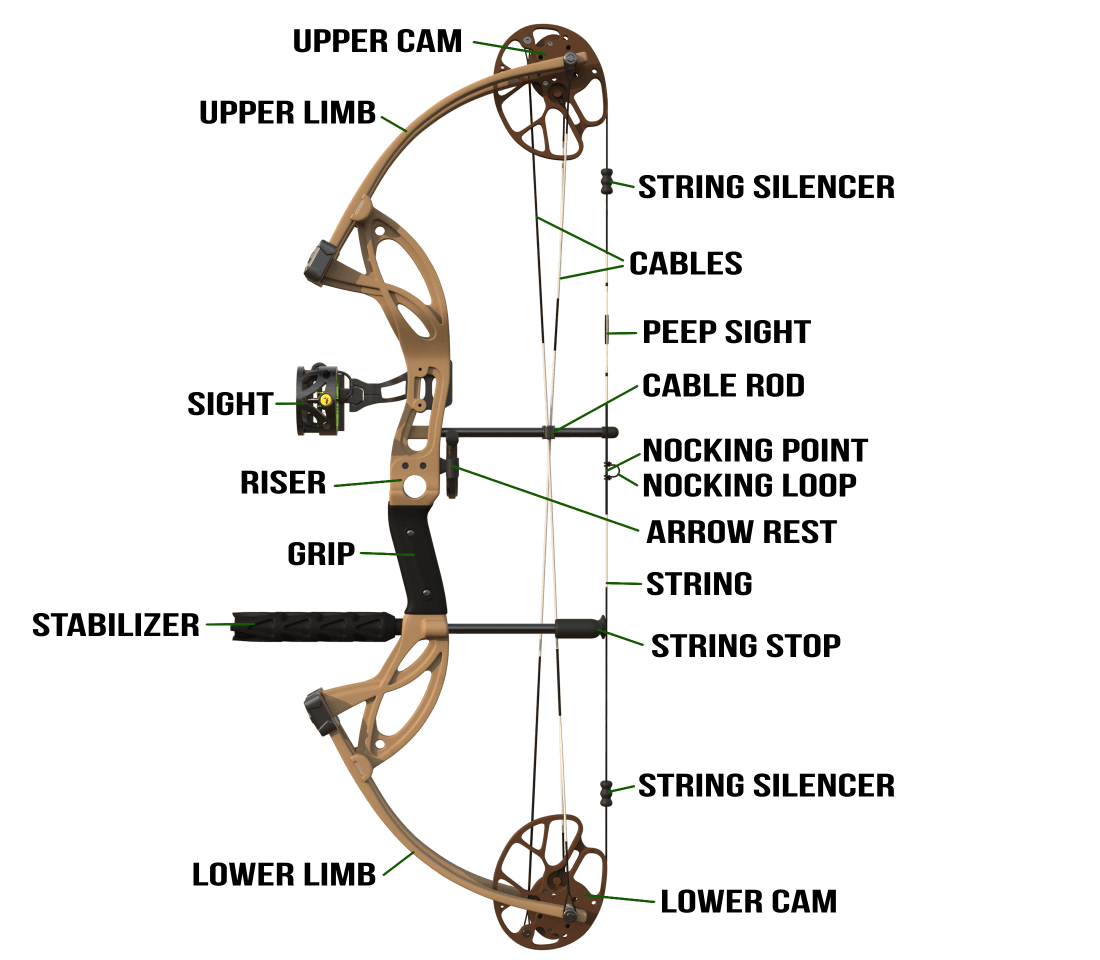 A basic guide to the parts of a compound bow