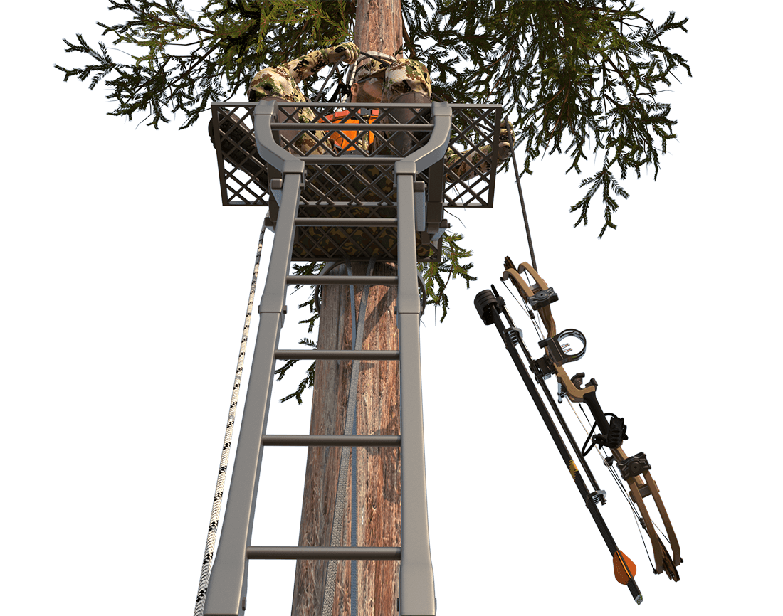 Steps for safely climbing up and down a tree stand
