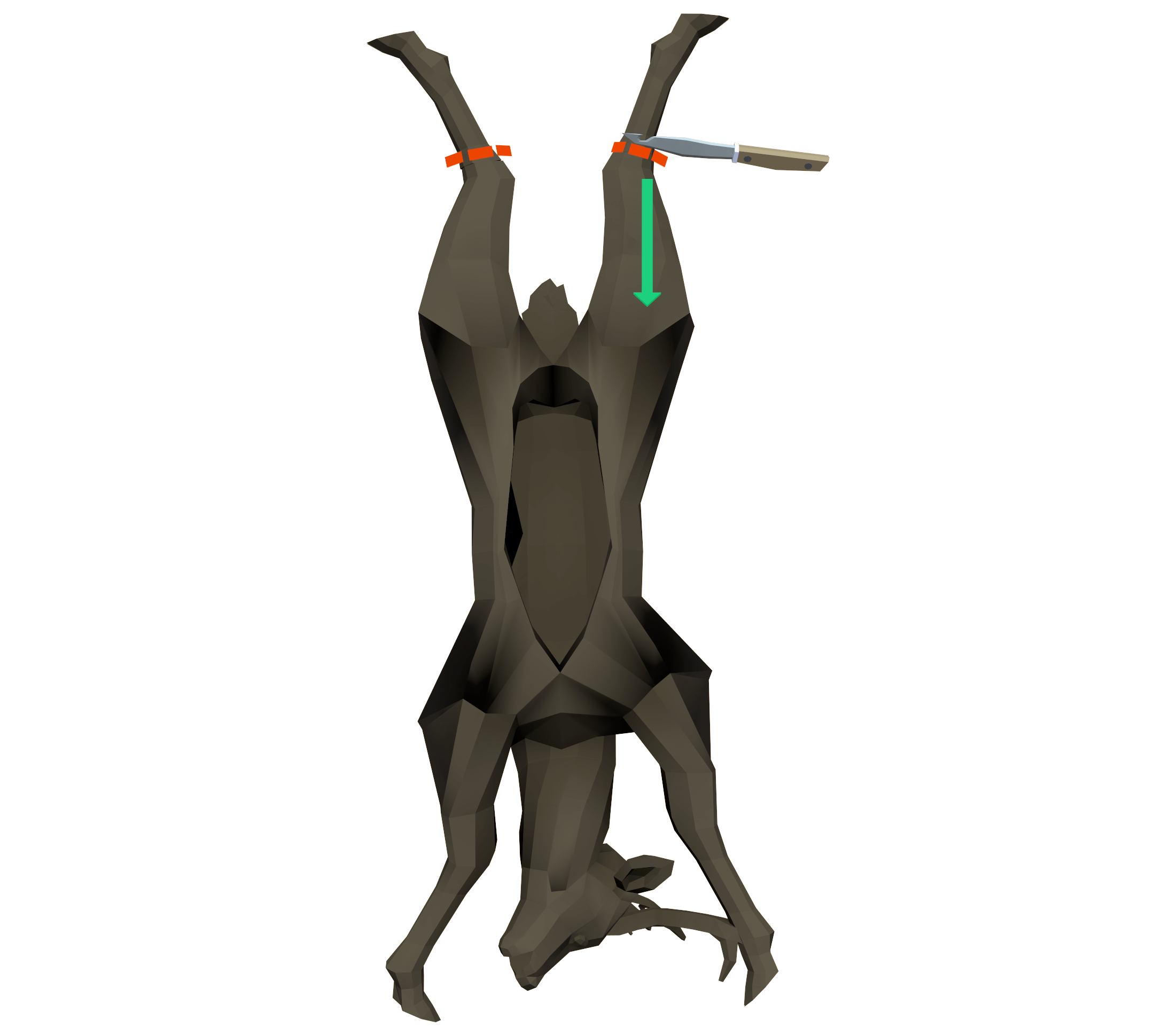 Skinning Steps - Big Game