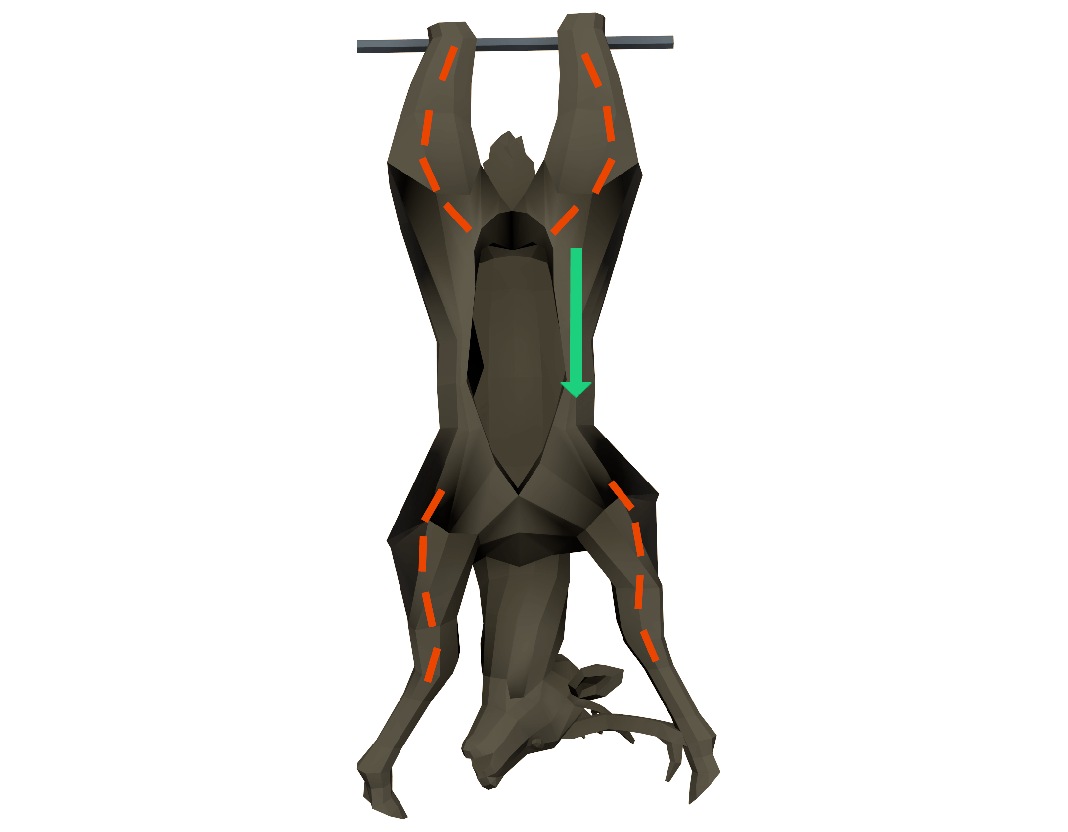 Skinning Steps - Big Game