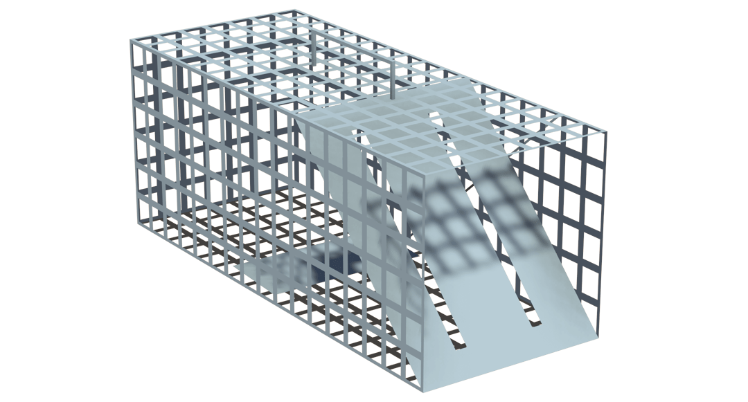 Types of hunting traps - Trapping essentials