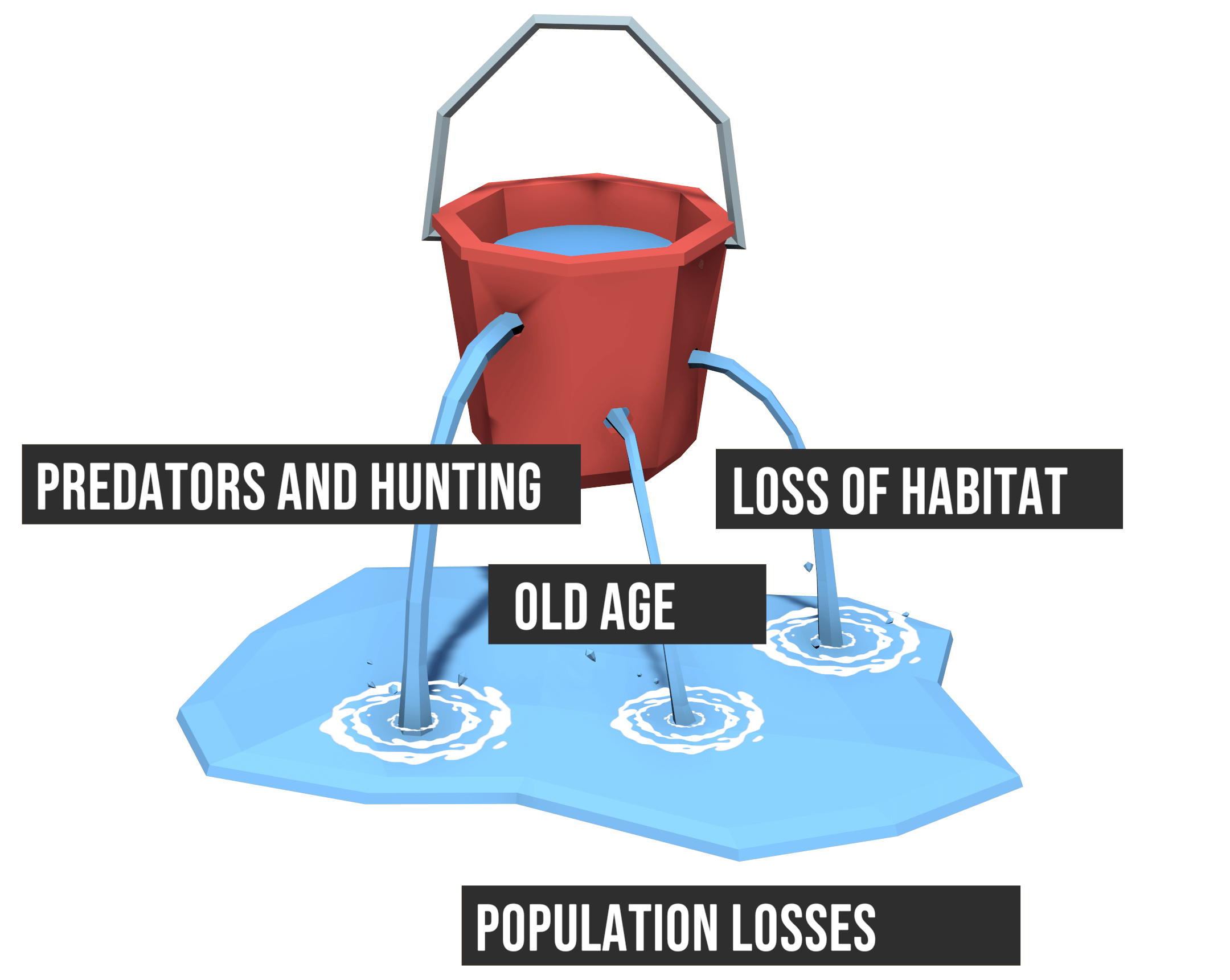 Wildlife Conservation Principles - The North American Model