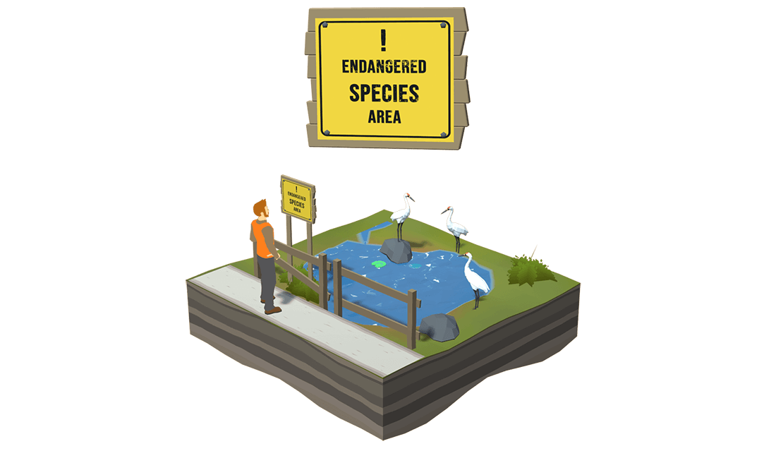 Wildlife Identification