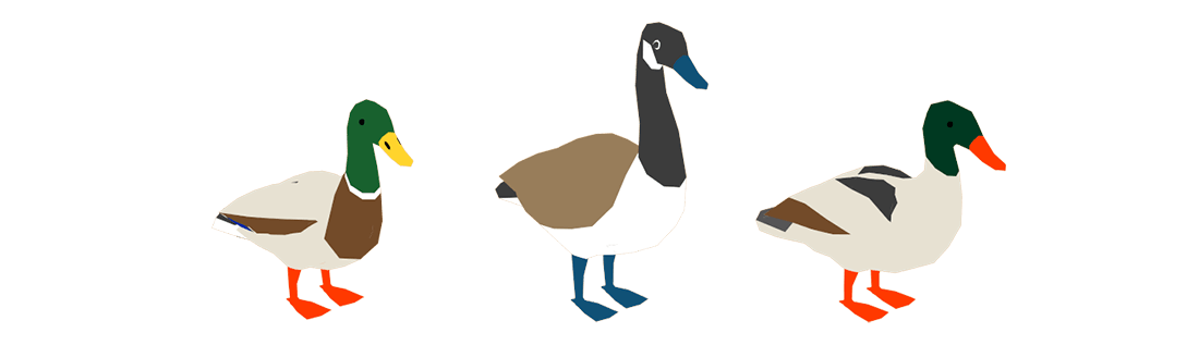 Wildlife Identification