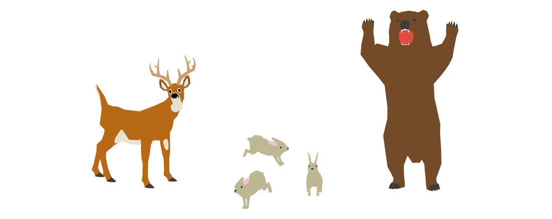 Wildlife Identification