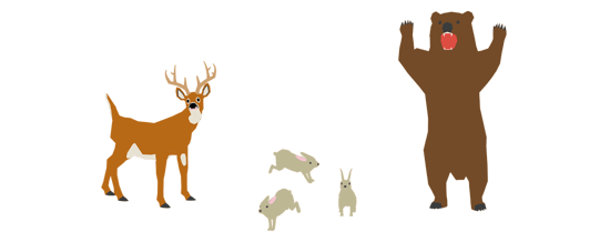 Wildlife Identification