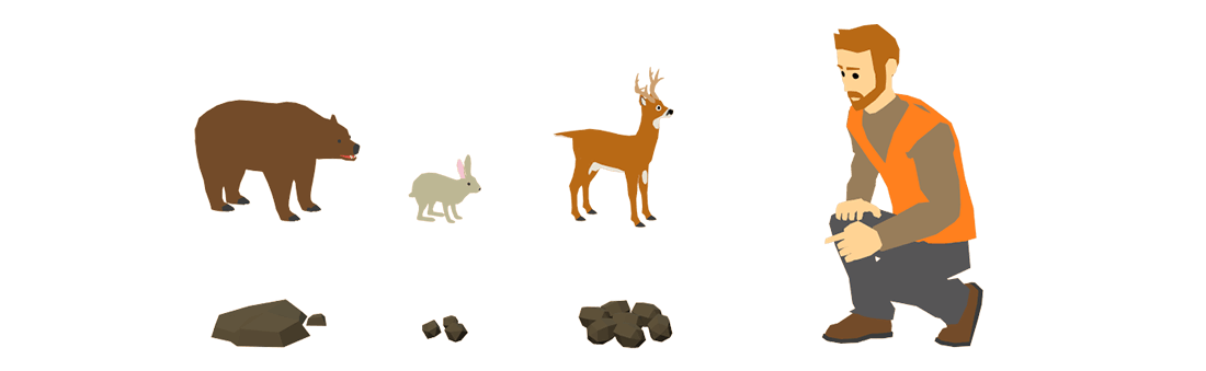 Wildlife Identification