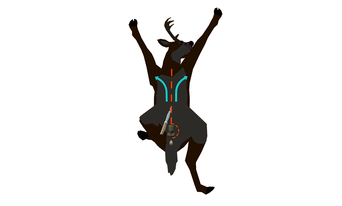 How to: Proper Field Dressing of Big Game (Deer, Moose, Caribou)