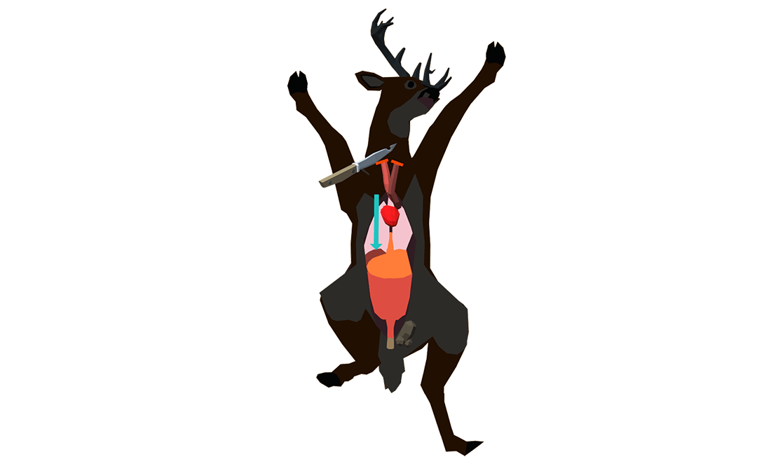 How to: Proper Field Dressing of Big Game (Deer, Moose, Caribou)