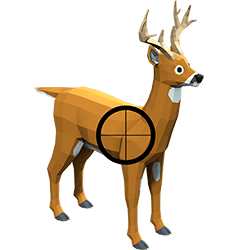 Hunter Safety Education Course Practice Test with Answers