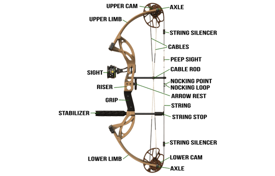 What are the parts of a bow called?