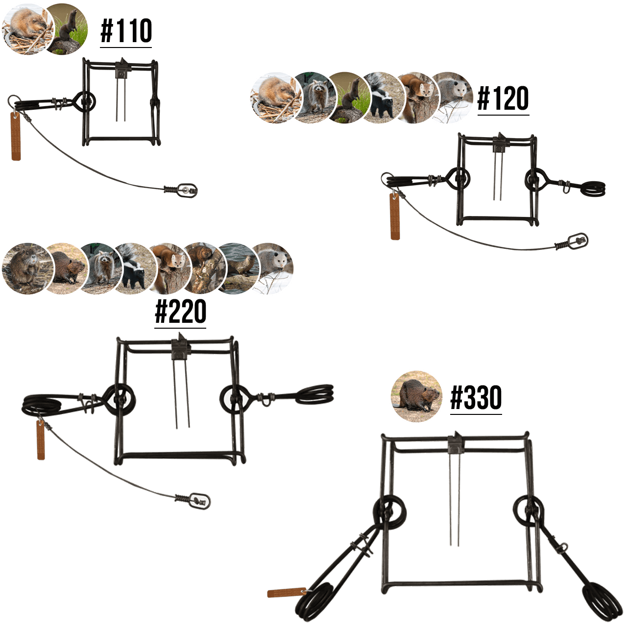 The characteristics of bodygrip traps