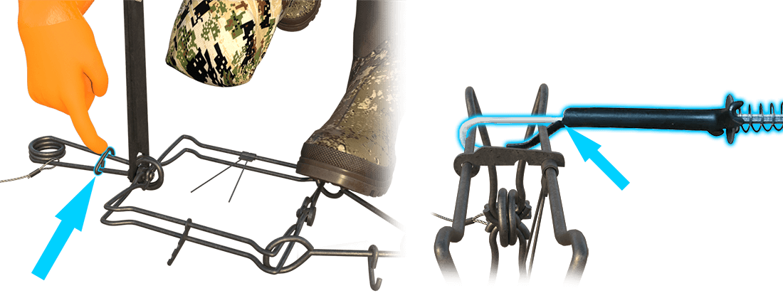 Setting and releasing a bodygrip trap
