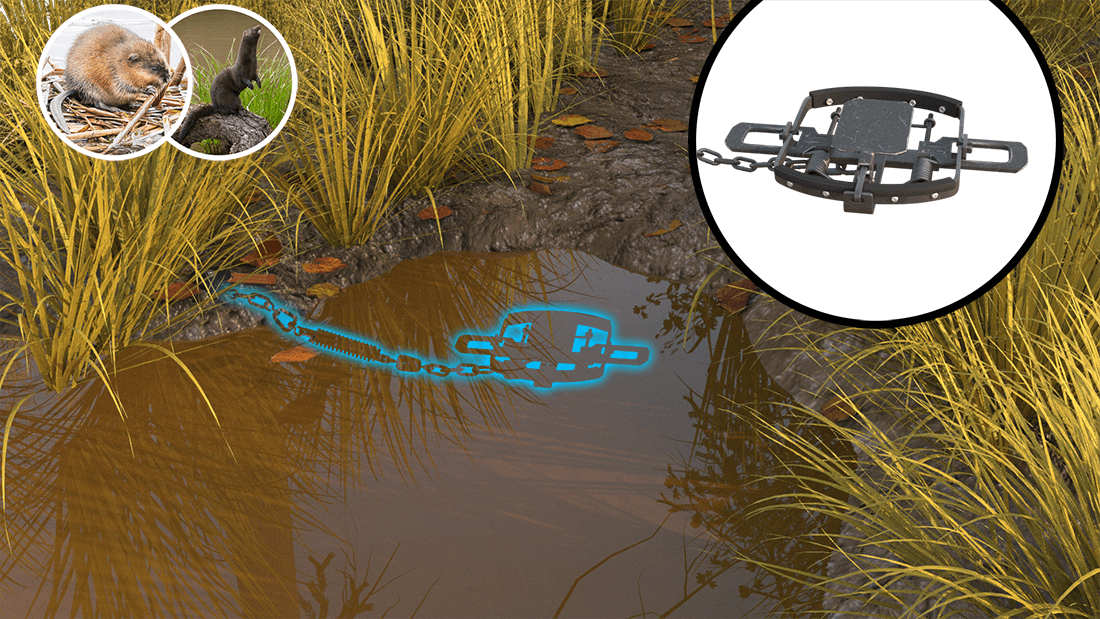 Water sets using a foothold trap