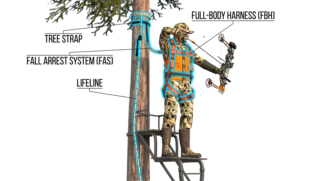 Which is the rule for using a full body harness fall arrest system?