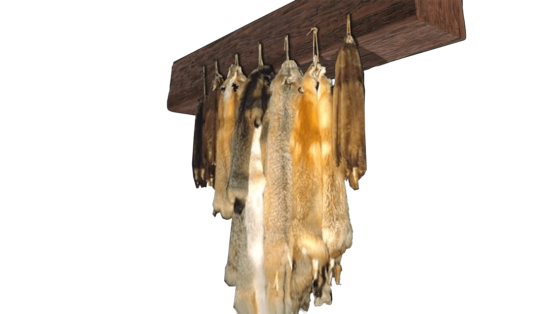 Storing animal hides for preservation and use